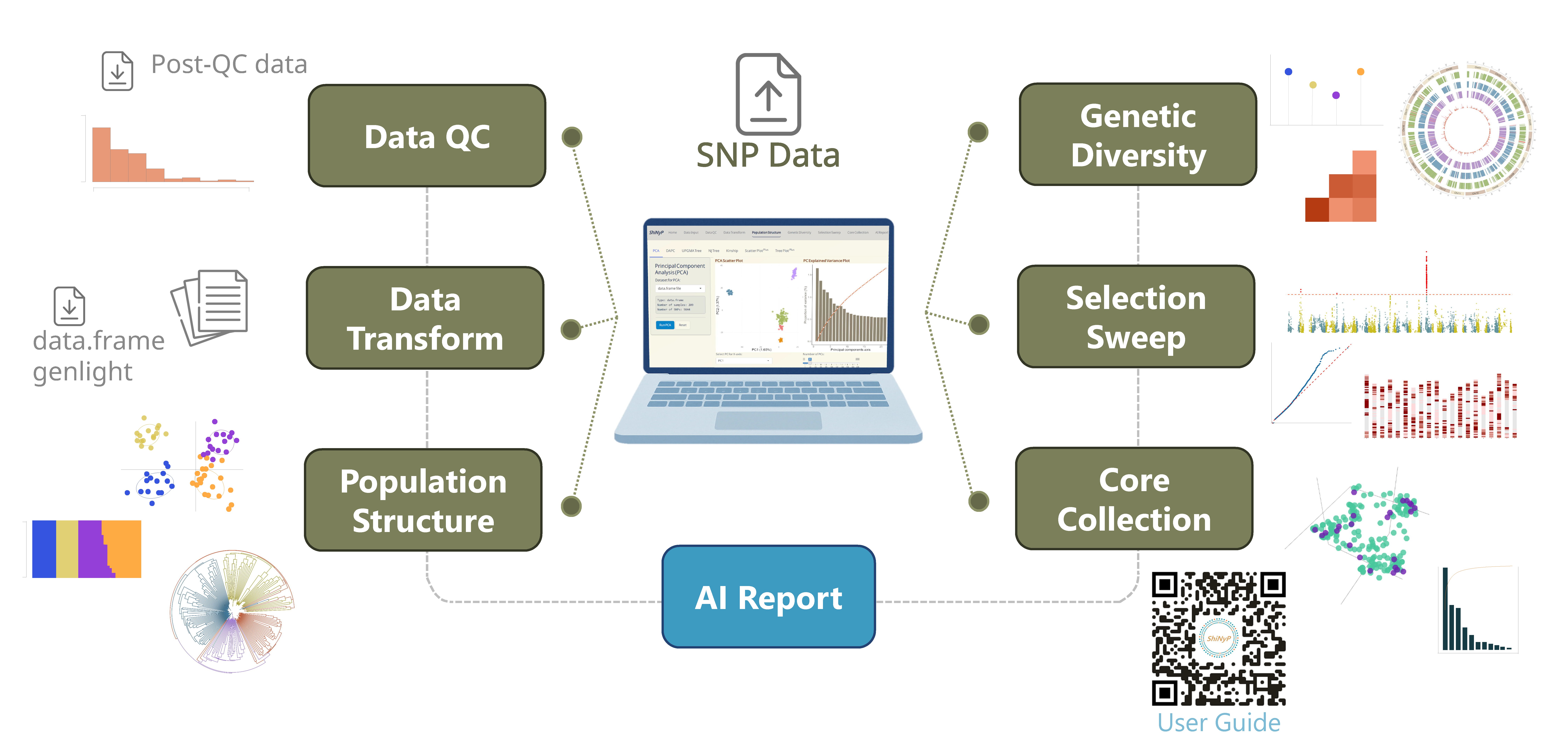 Get Started 🚀 | User Guide for ShiNyP